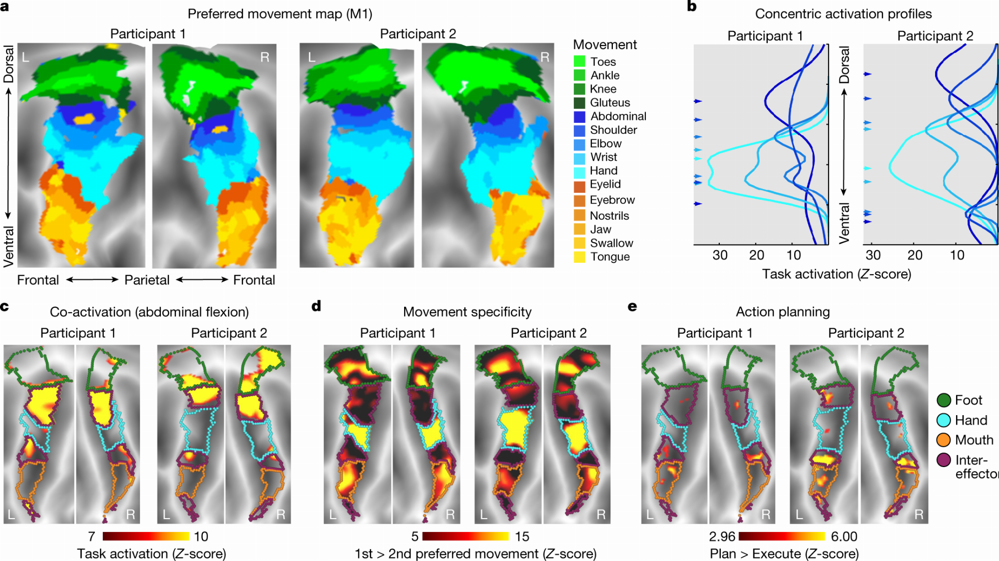 Scientists identify mind-body nexus in human brain | [H]ard|Forum